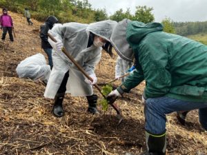 Forest for Future - SDGs QUEST みらい甲子園