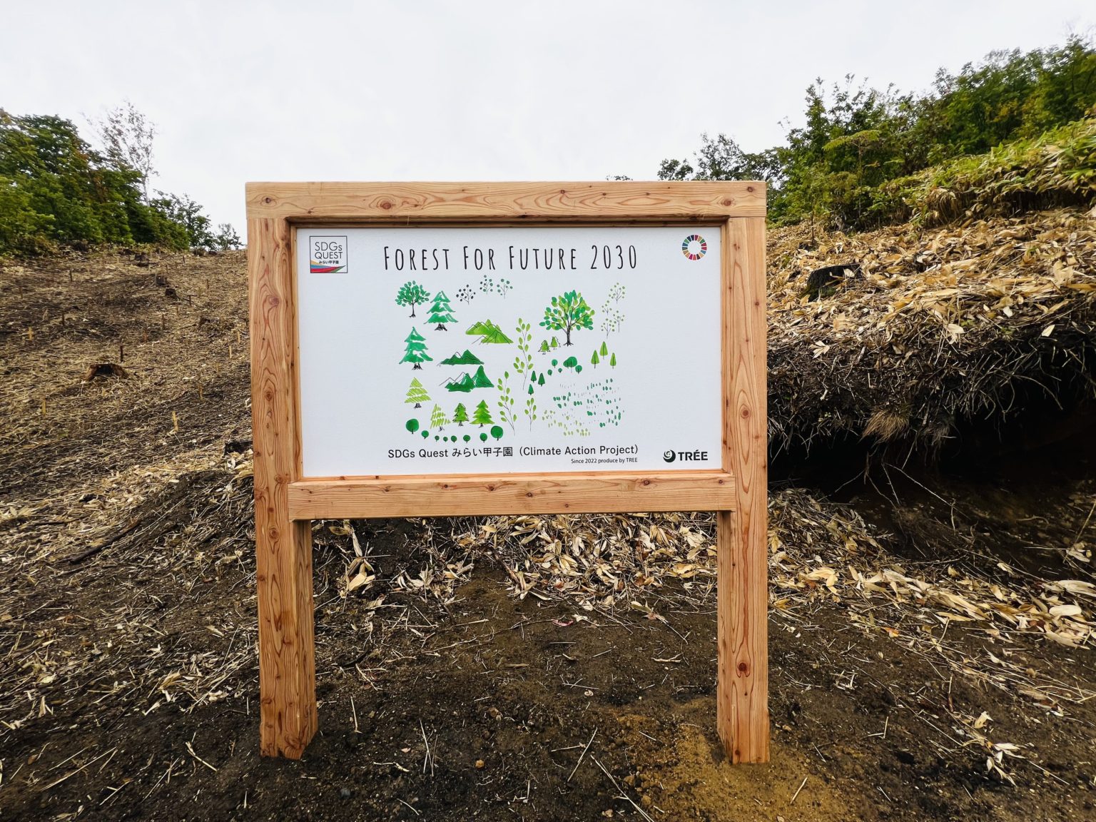 Forest for Future - SDGs QUEST みらい甲子園