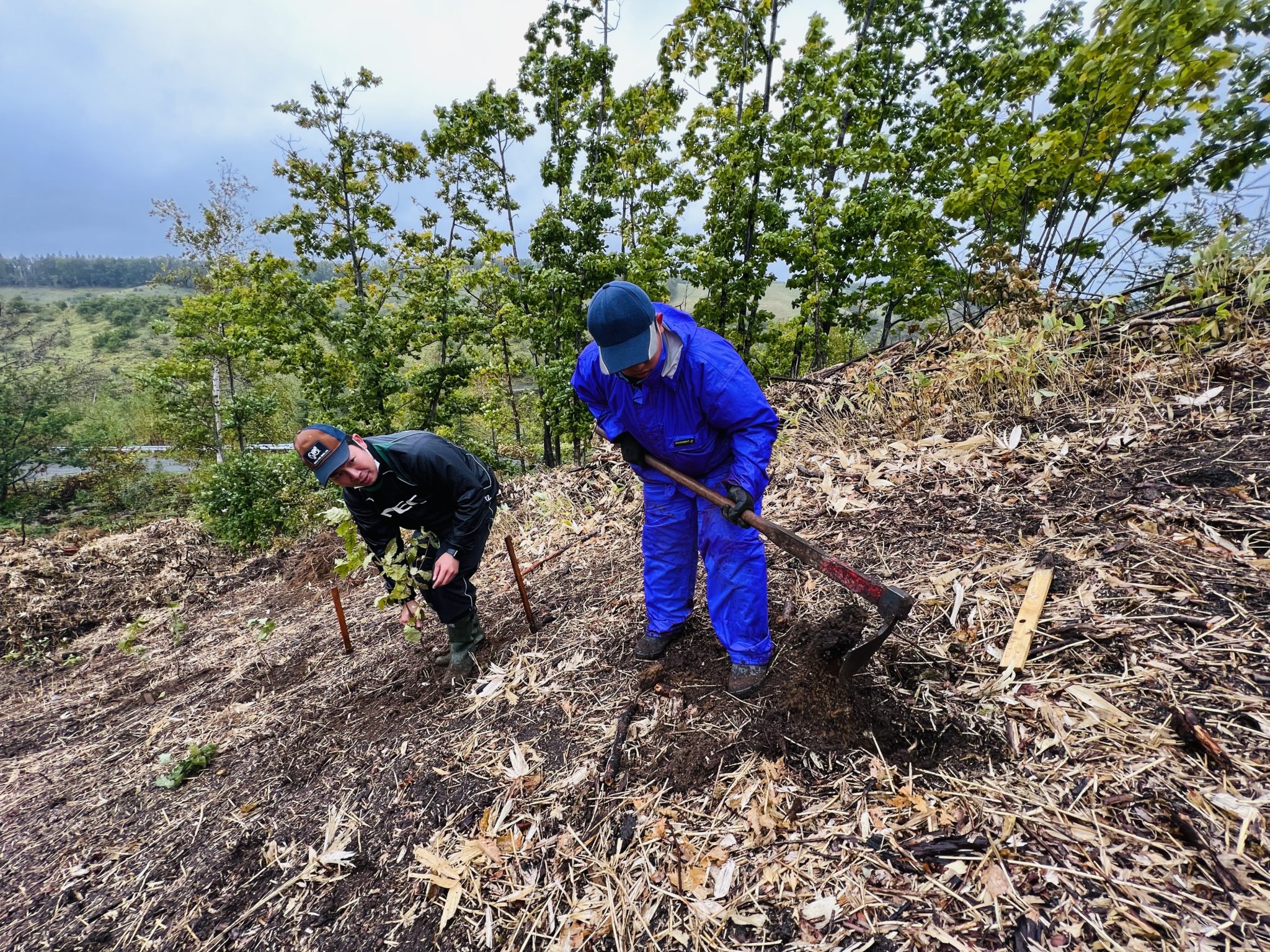 Forest for Future - SDGs QUEST みらい甲子園