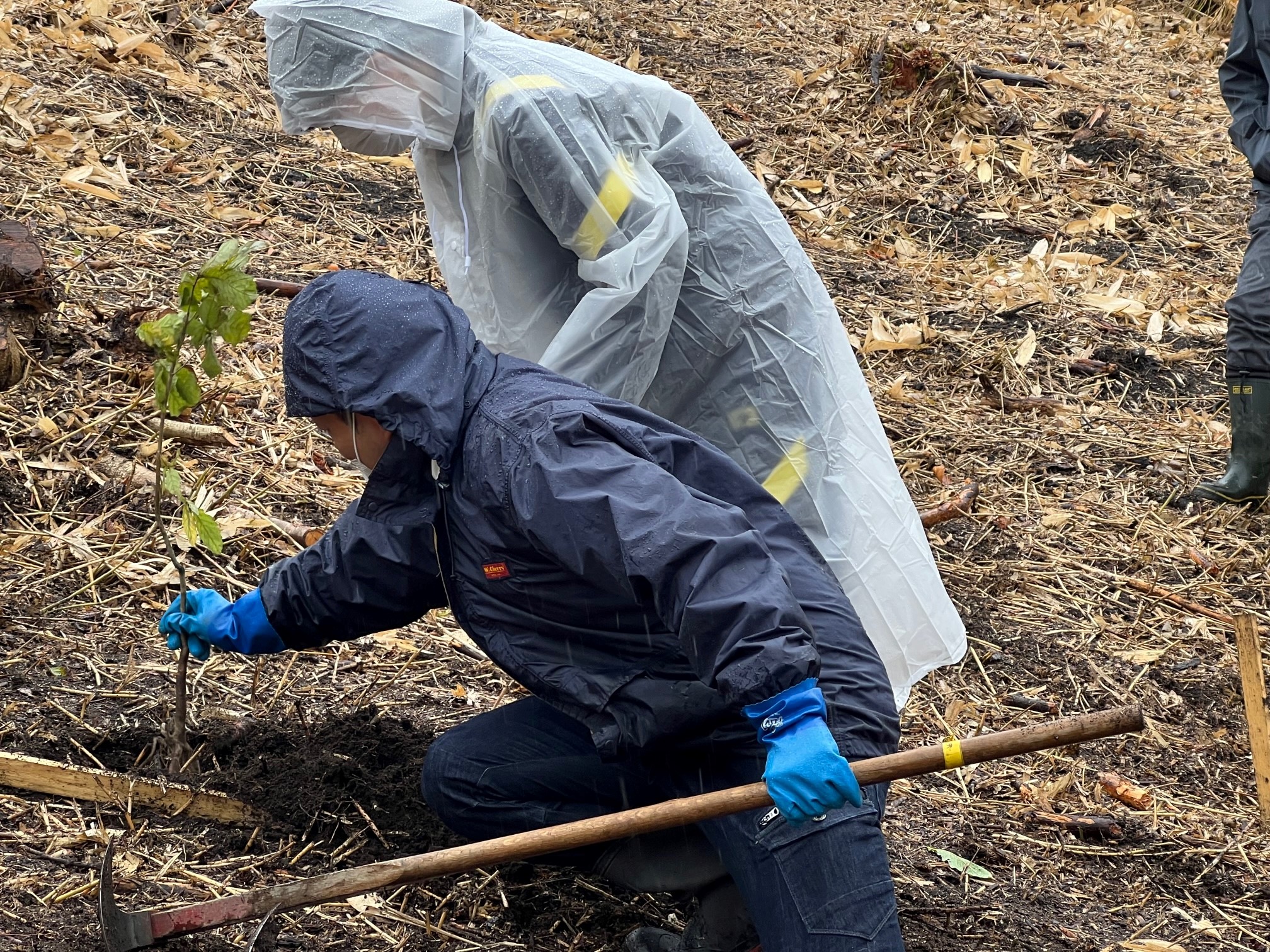 Forest for Future - SDGs QUEST みらい甲子園