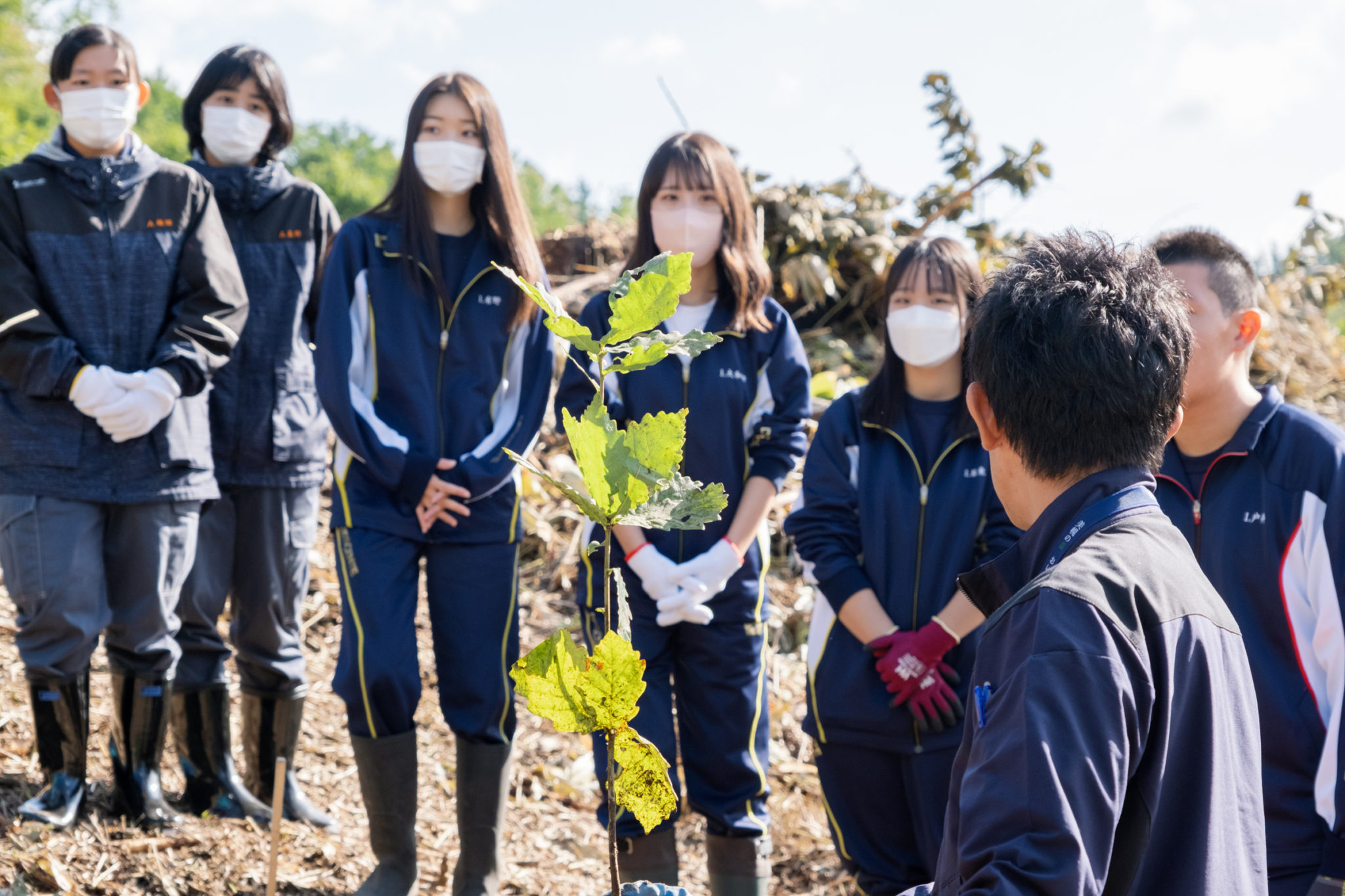 Forest for Future - SDGs QUEST みらい甲子園