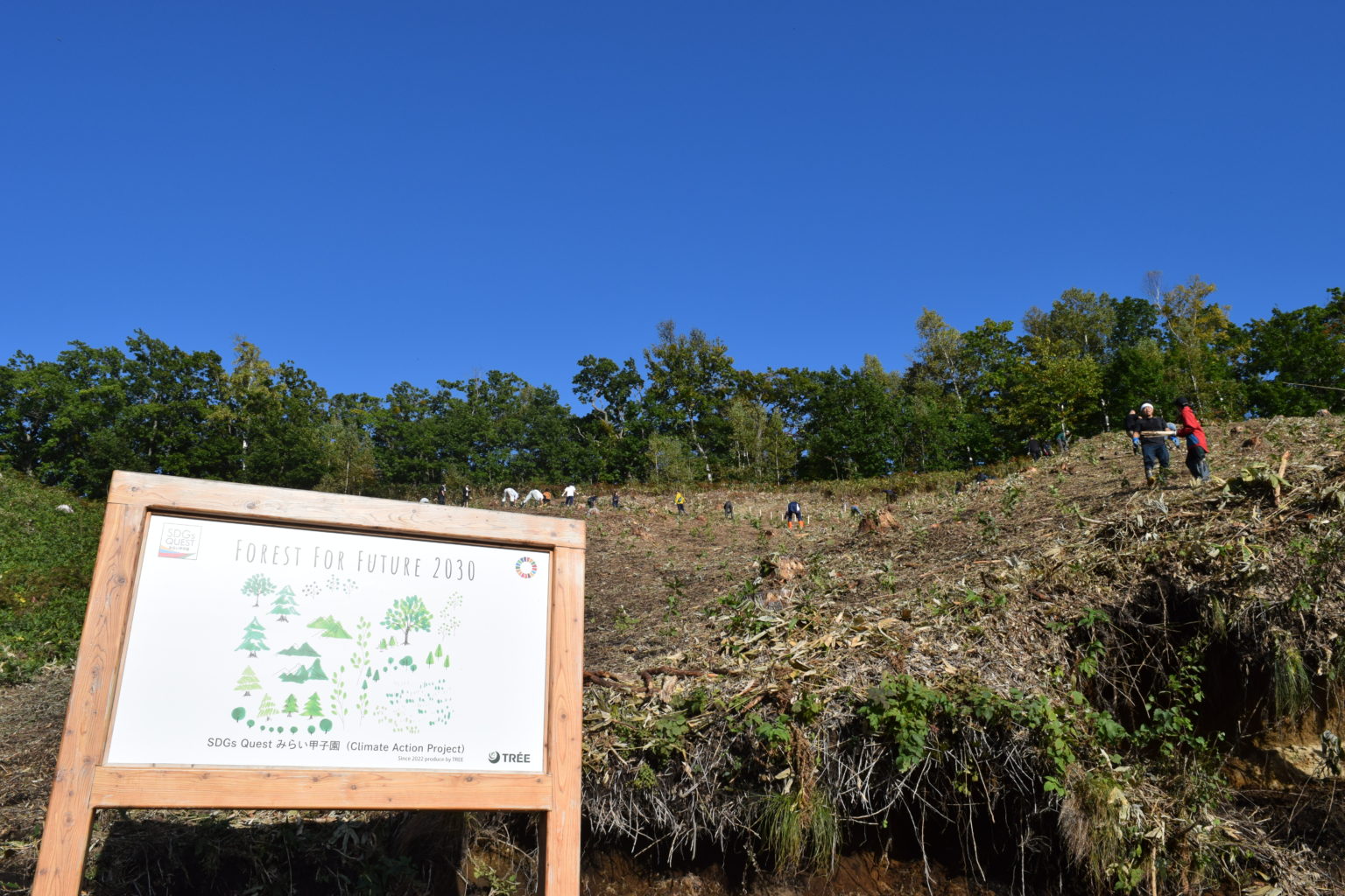 Forest for Future - SDGs QUEST みらい甲子園