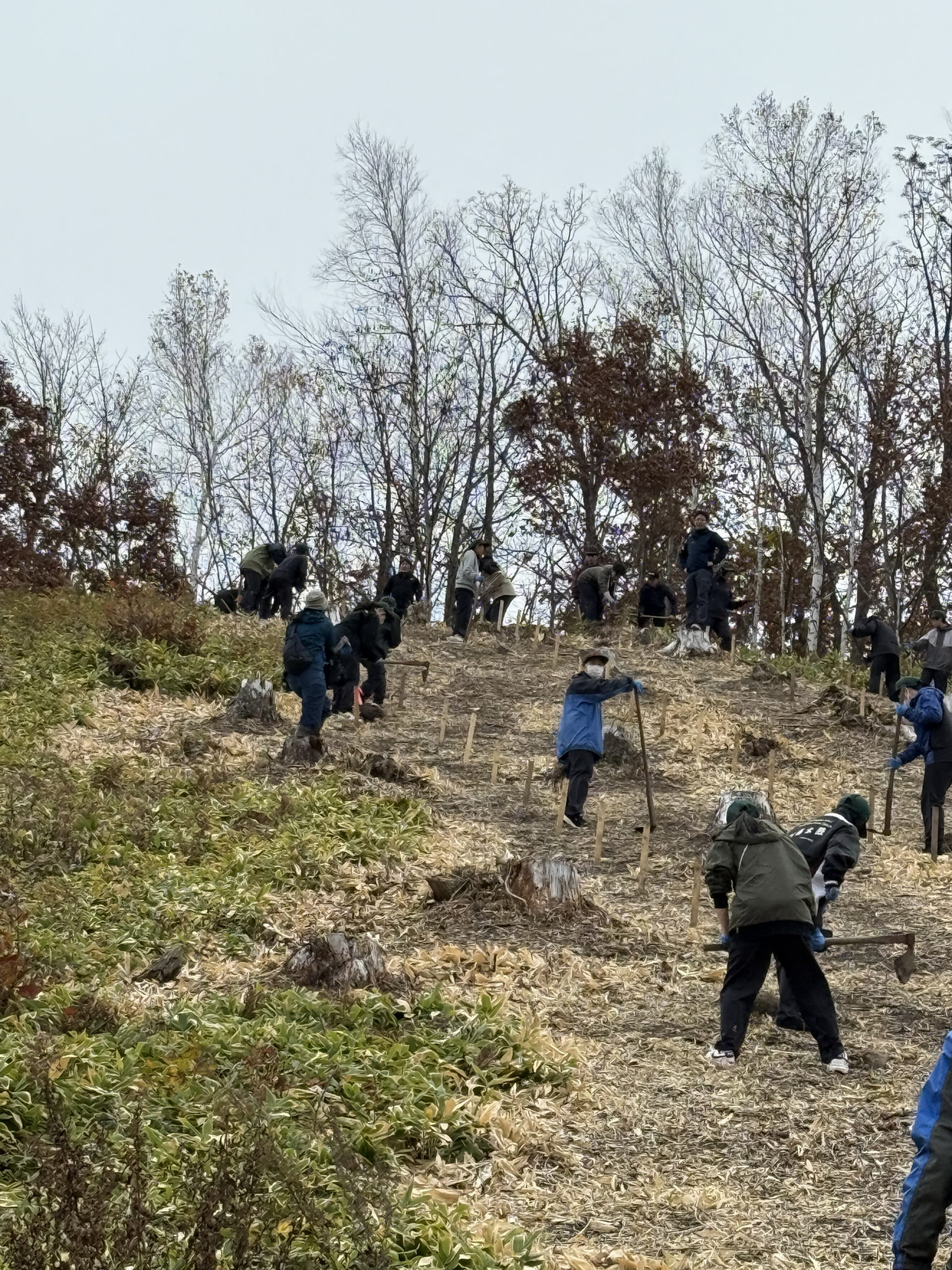 Forest for Future - SDGs QUEST みらい甲子園