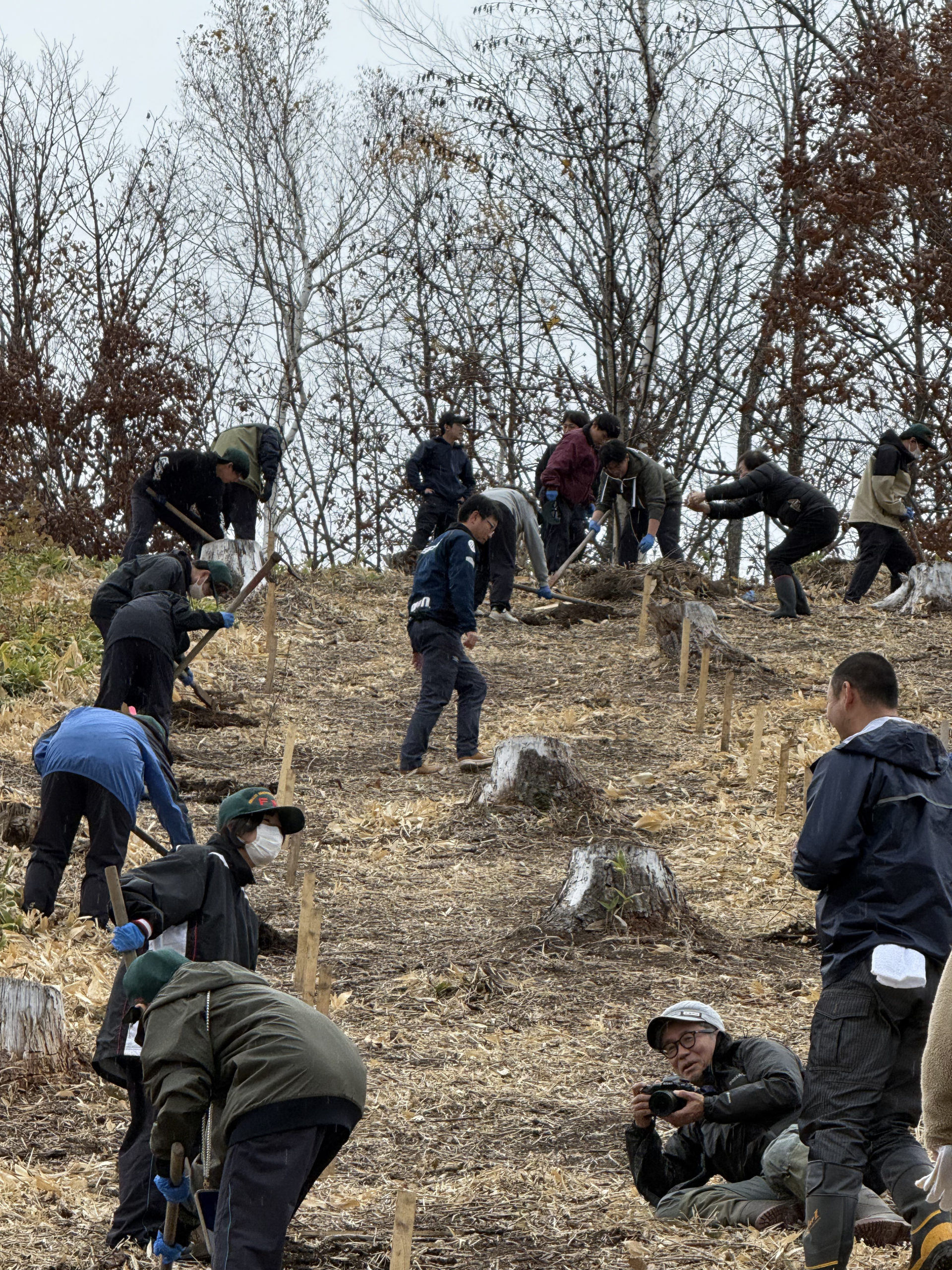 Forest for Future - SDGs QUEST みらい甲子園