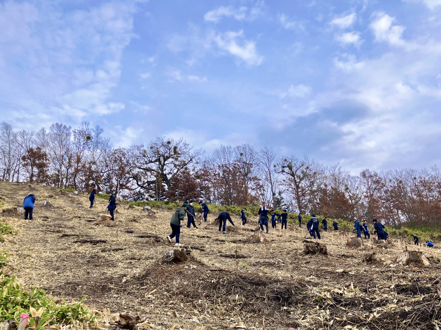 Forest for Future - SDGs QUEST みらい甲子園