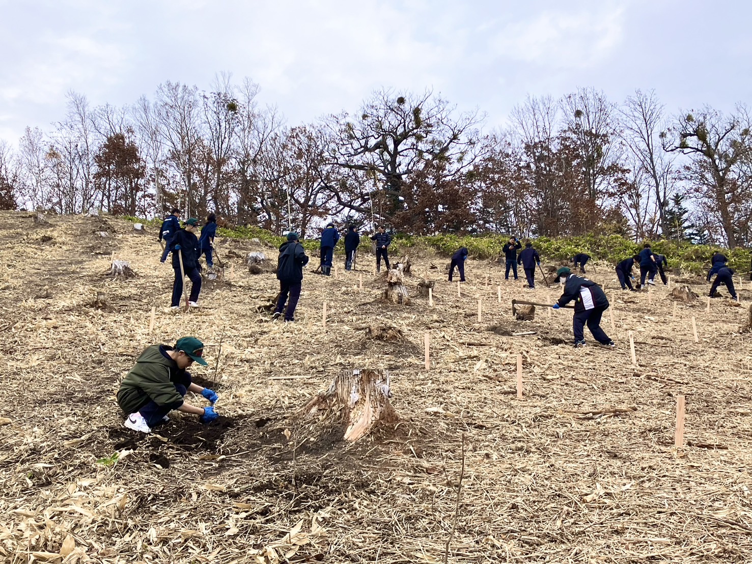 Forest for Future - SDGs QUEST みらい甲子園